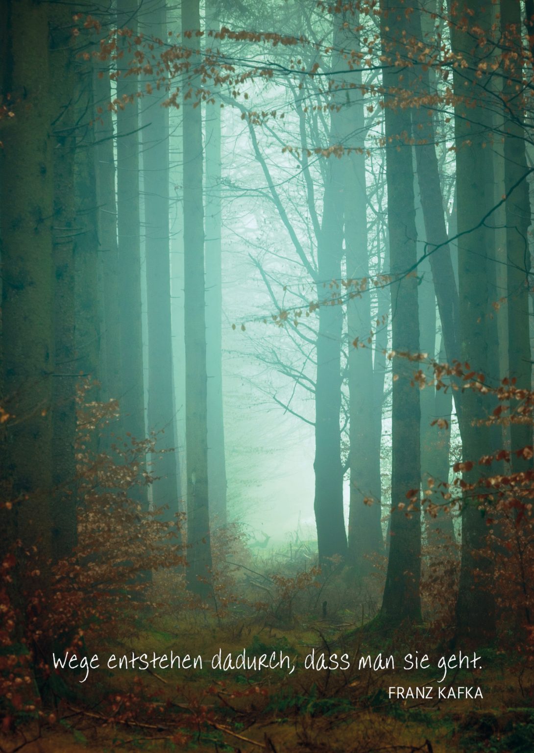 Lebensweisheiten und Sprüche: Wege entstehen...Nr. 106 - Caro Cards ...