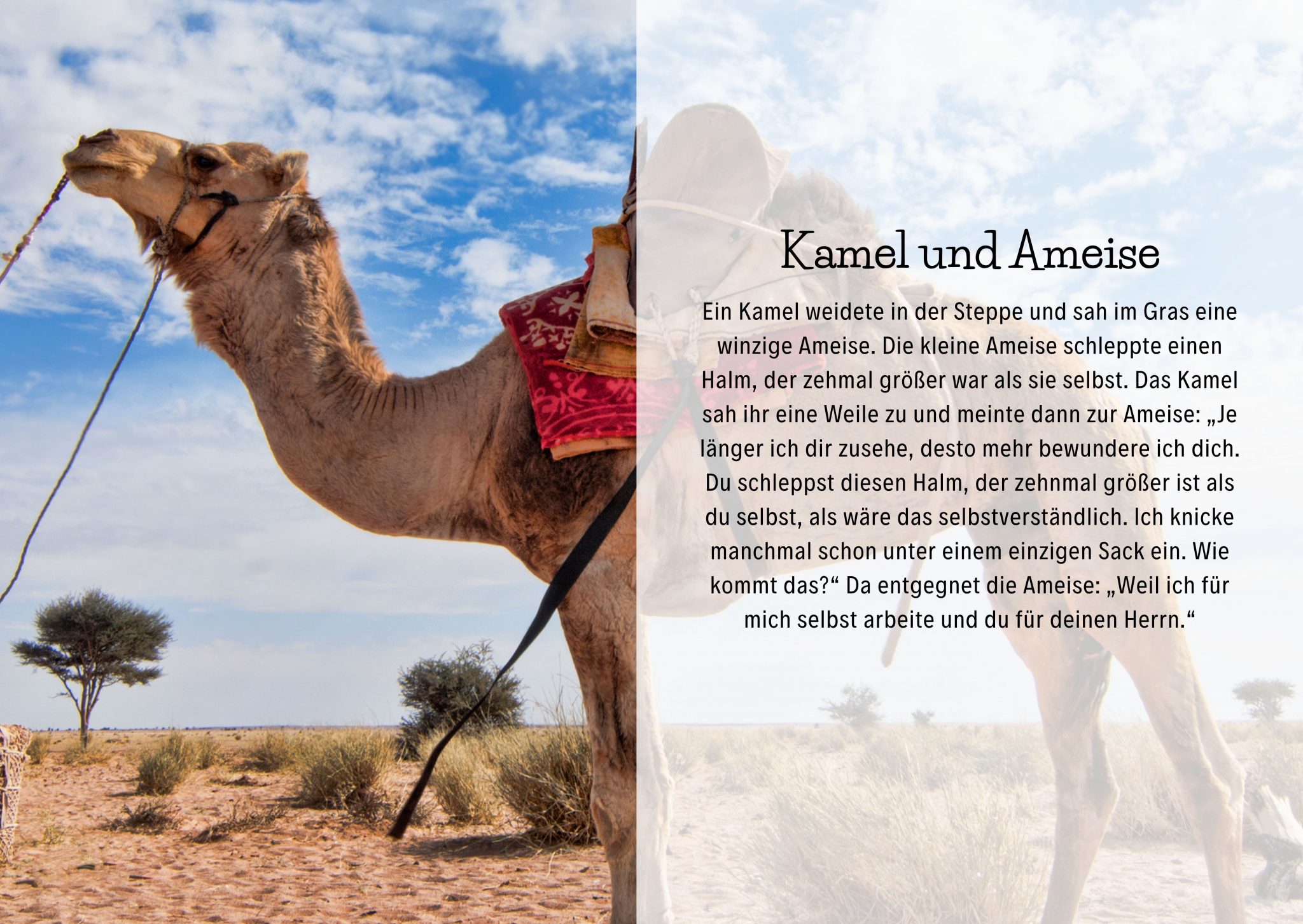 Wir über uns - Caro Cards - Geschichtenkarten